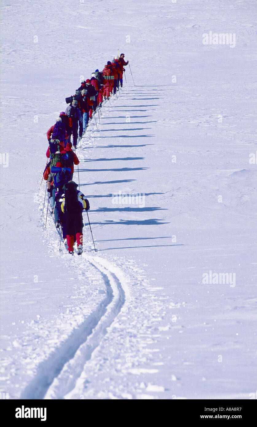 Norwegian cross country skiers hi-res stock photography and images - Alamy