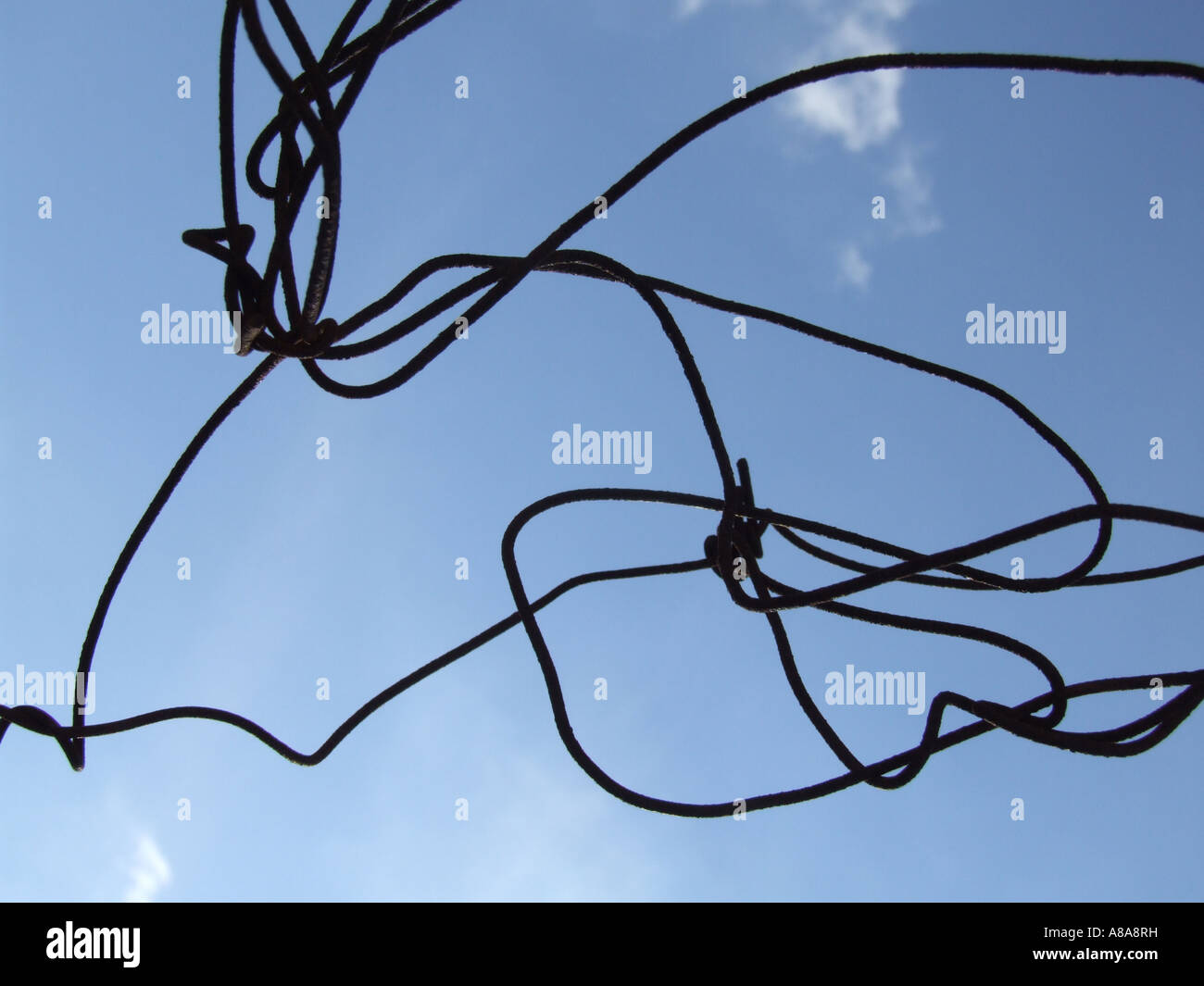 heart shape in tangled wire Stock Photo - Alamy