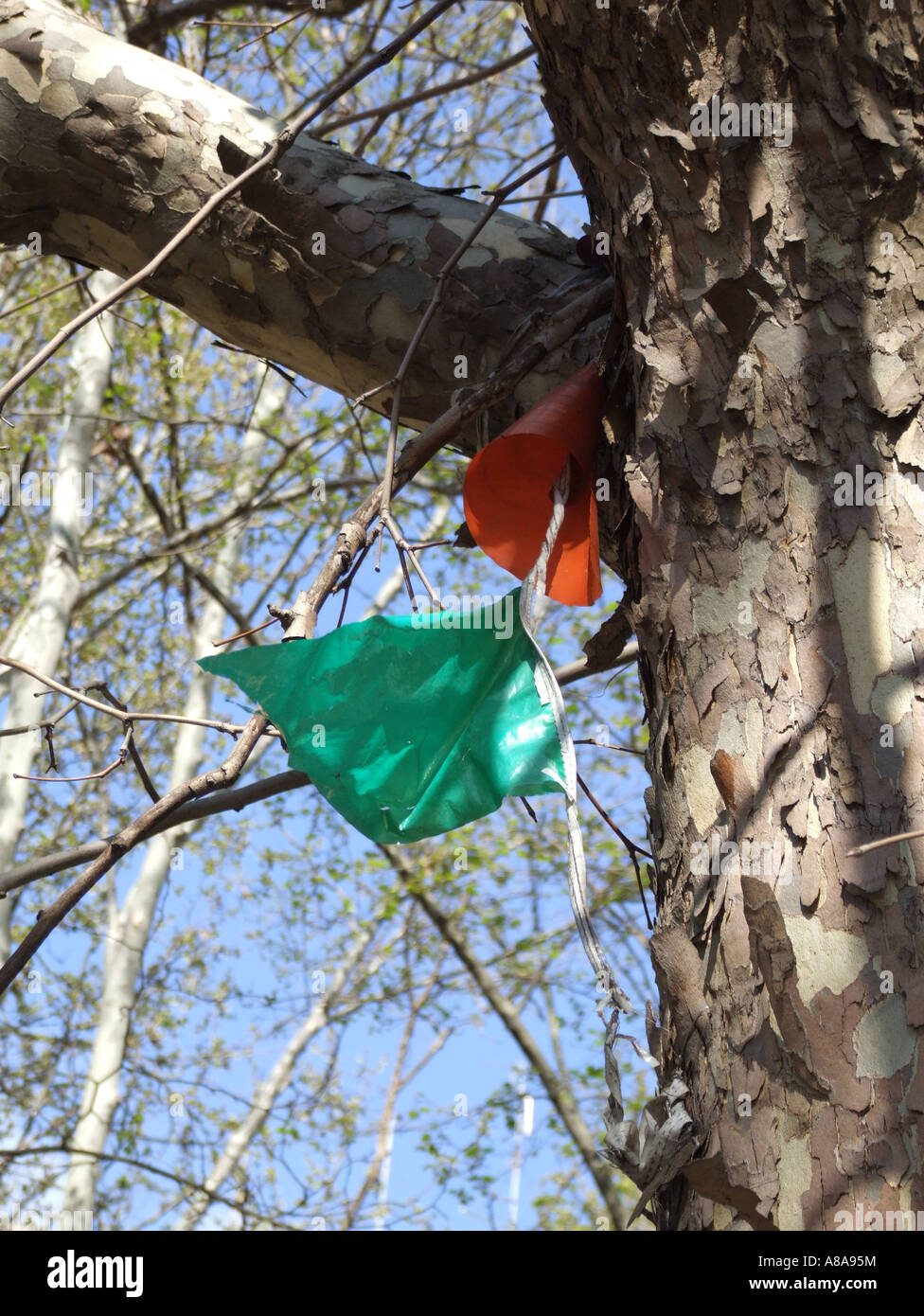 carnival bunting flags Stock Photo - Alamy