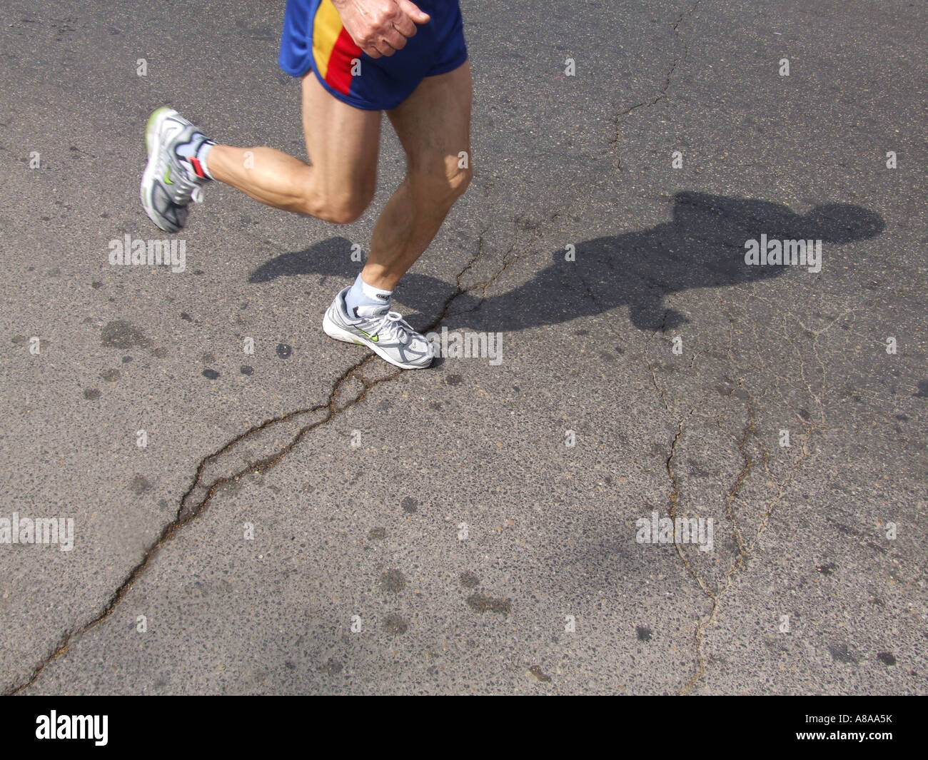 road runner in race Stock Photo - Alamy