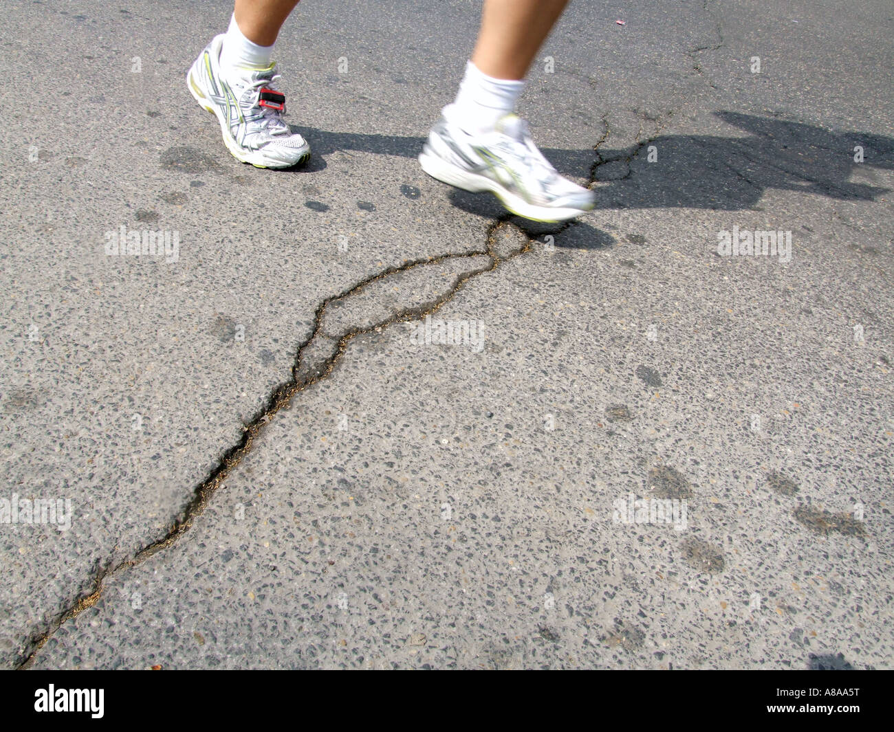 road runner in race Stock Photo - Alamy