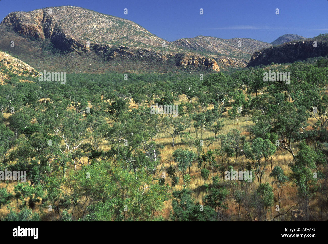Kimberley landscape Western Australia Australia Stock Photo - Alamy