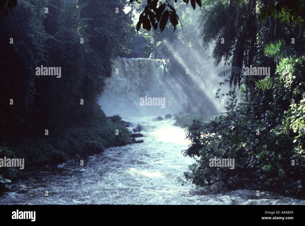 Zaire forest hi-res stock photography and images - Alamy