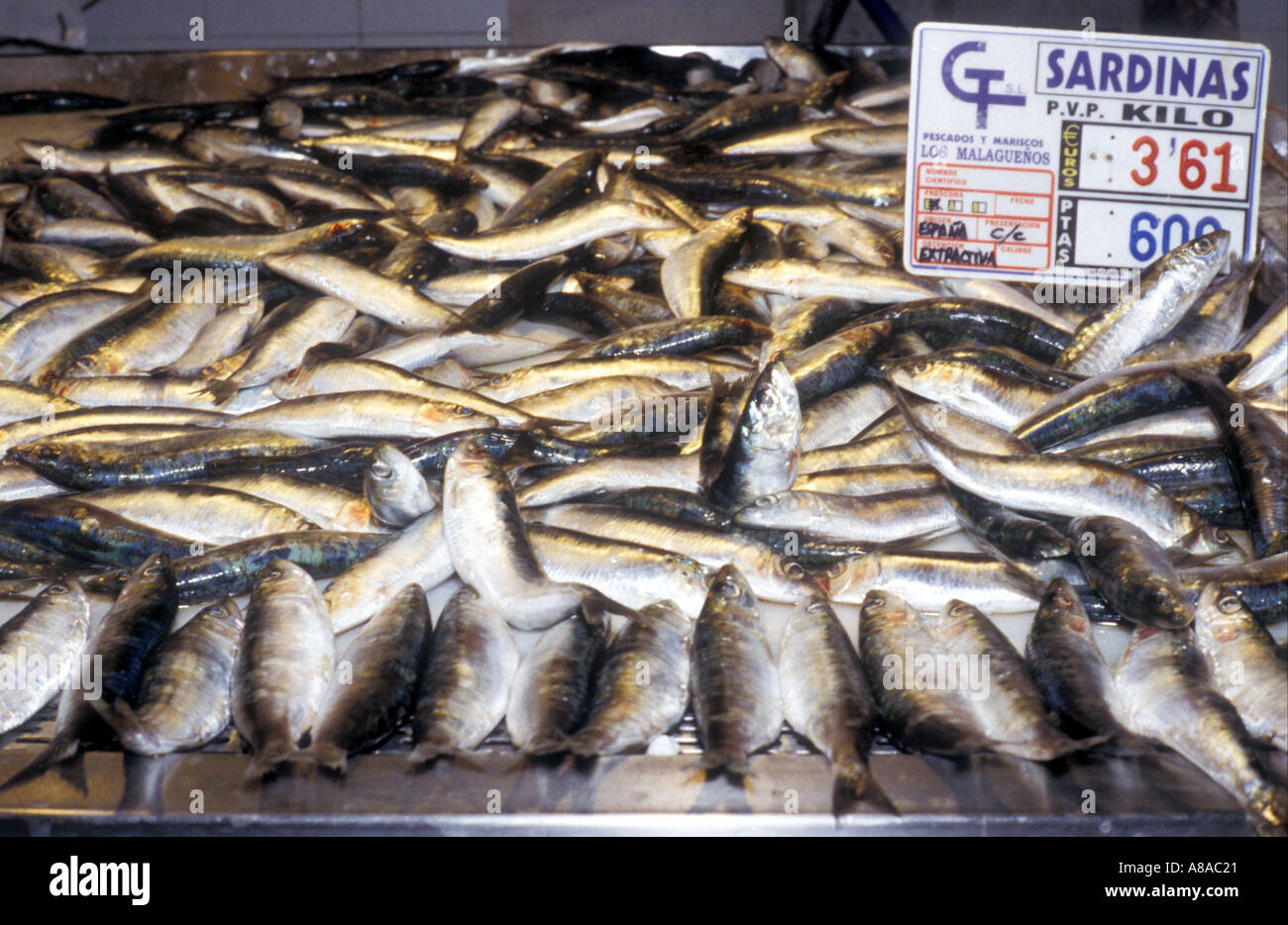 Sardines at central market hi-res stock photography and images - Alamy