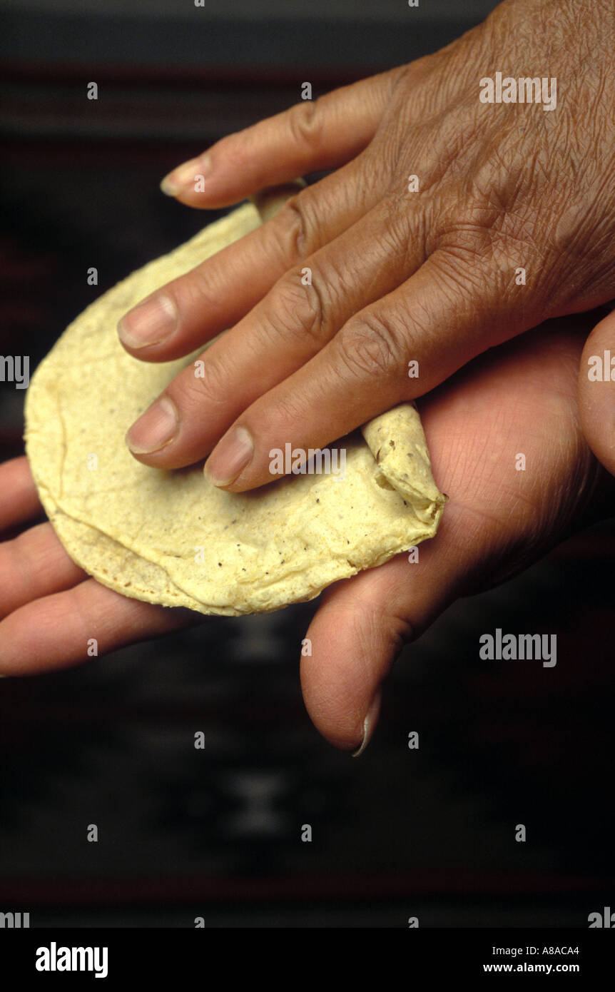 Demonstrating the correct way to roll a corn tortilla in preparation ...