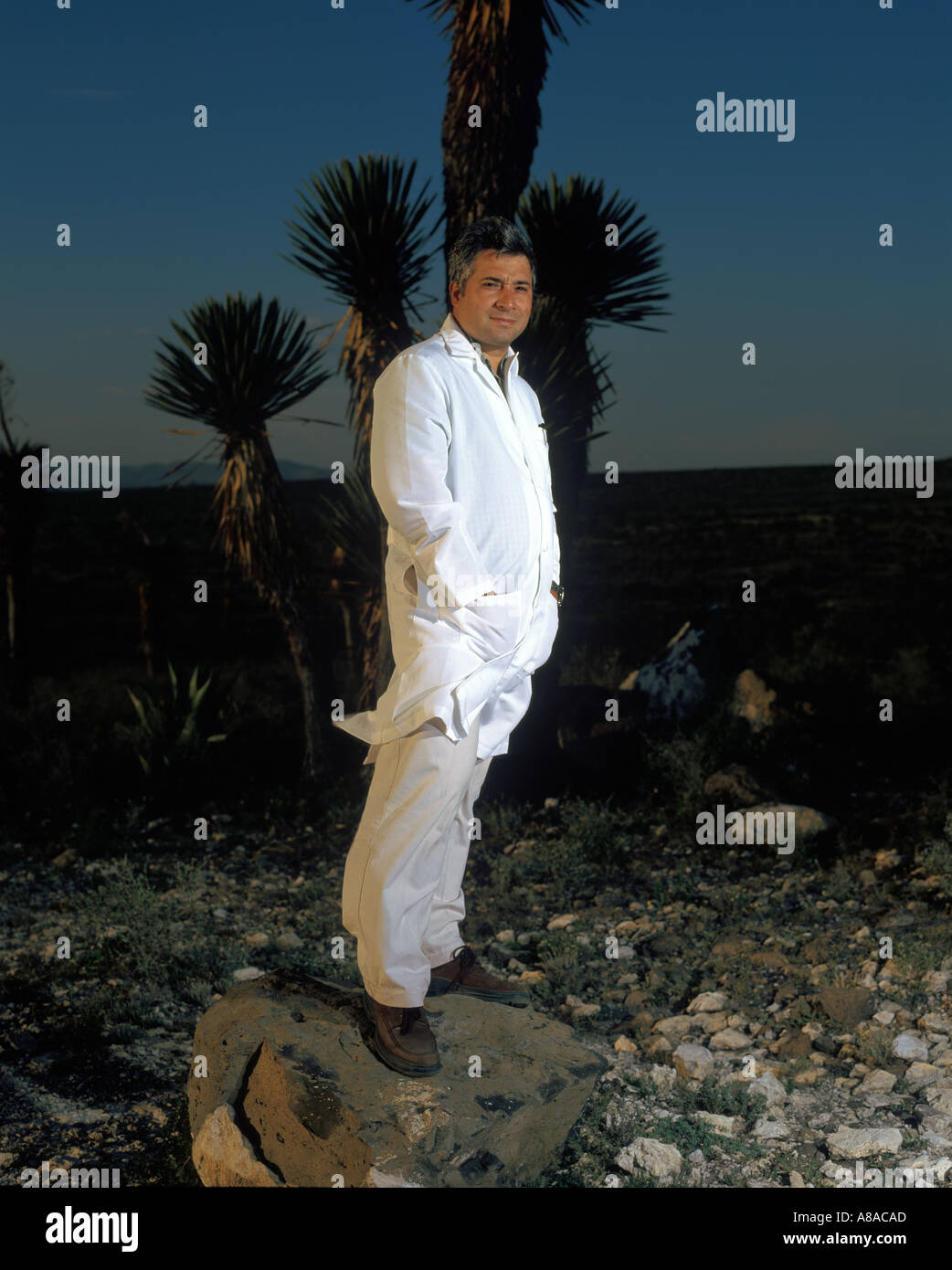 Think cactus hi-res stock photography and images - Alamy