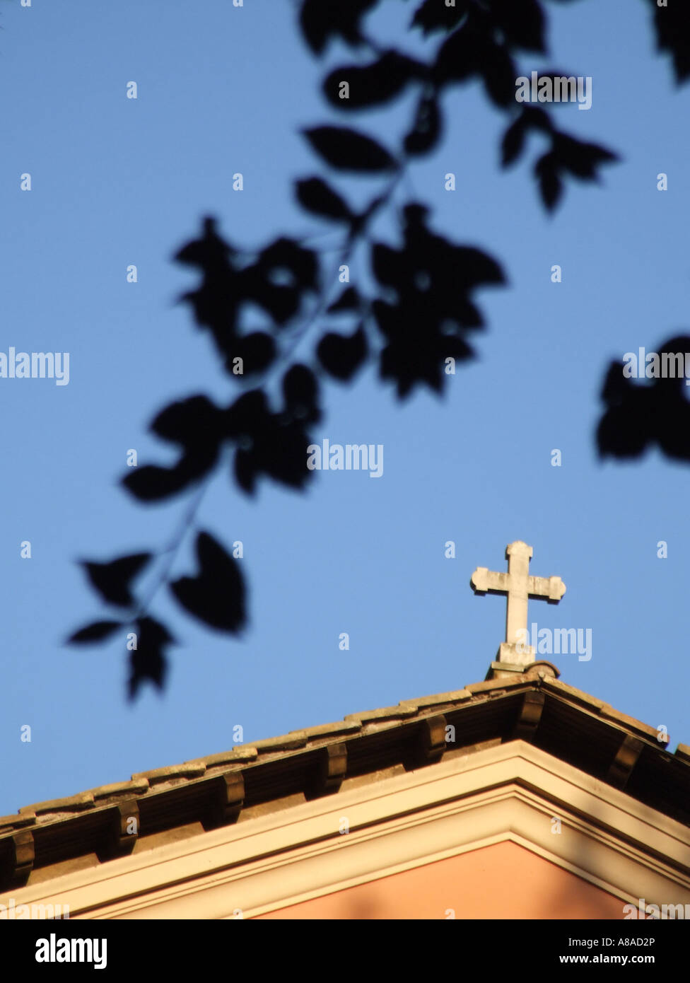 Rome trees frame hi-res stock photography and images - Alamy