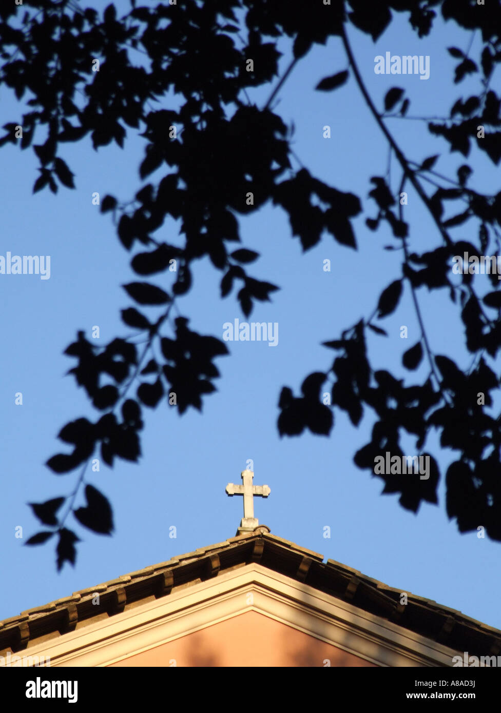 Rome trees frame hi-res stock photography and images - Alamy