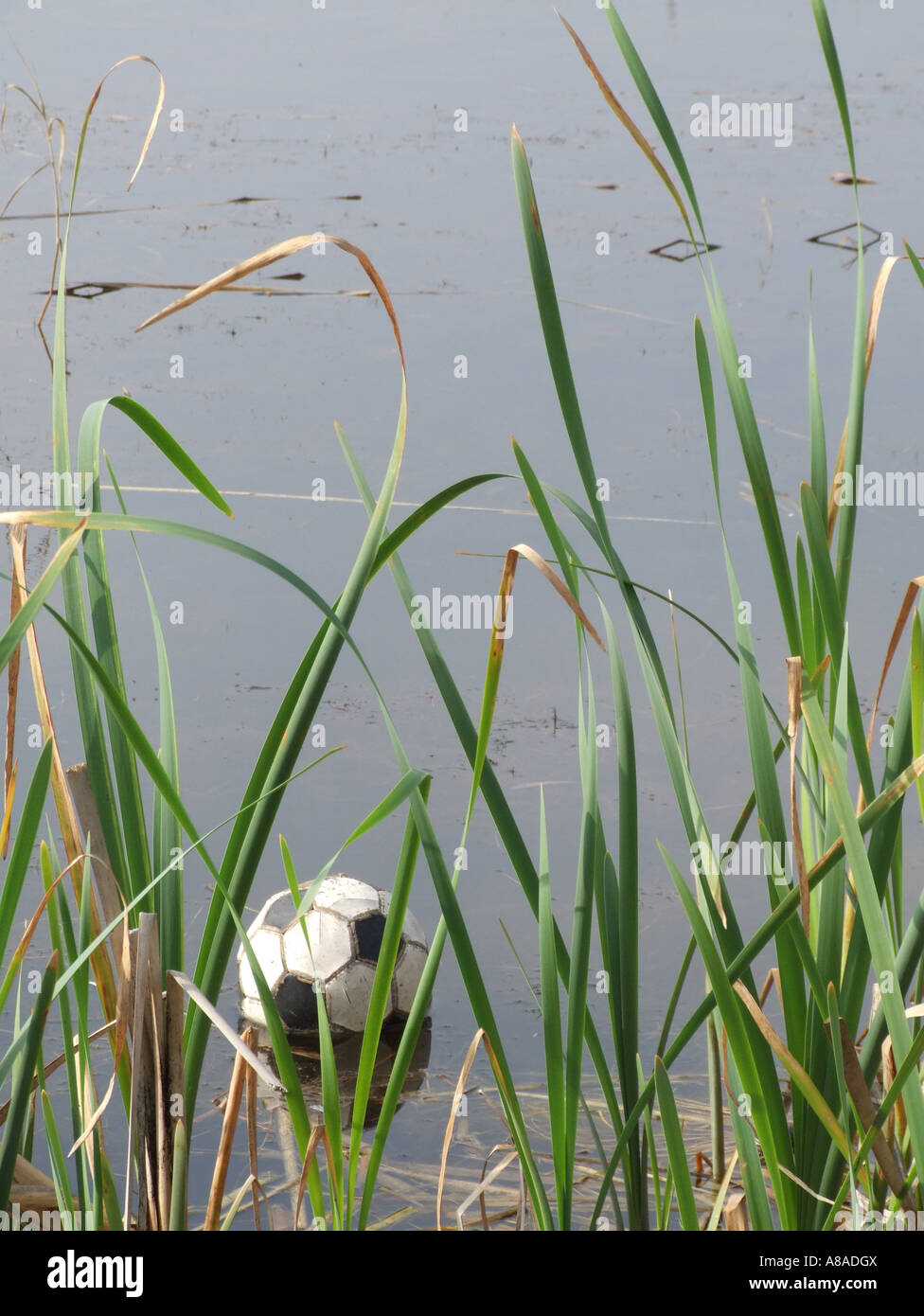 Deflated ball in water hi-res stock photography and images - Alamy