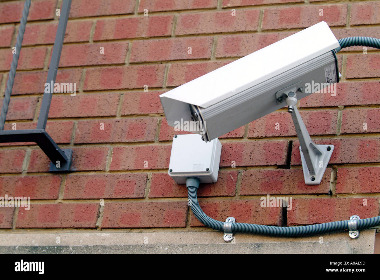 Eyes Watching You 1984