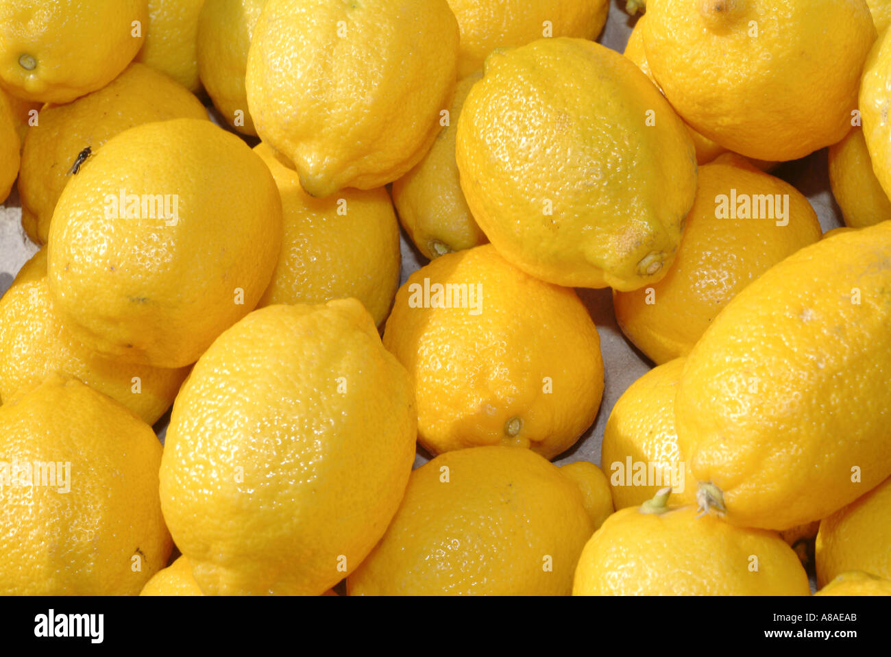 lemon yellow bright colour color fruit food citrus Stock Photo - Alamy