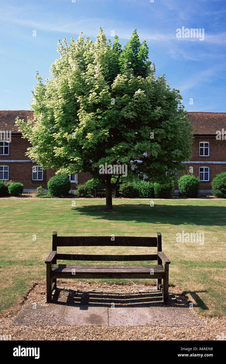 Wood Garden Bench High Resolution Stock Photography and Images - Alamy