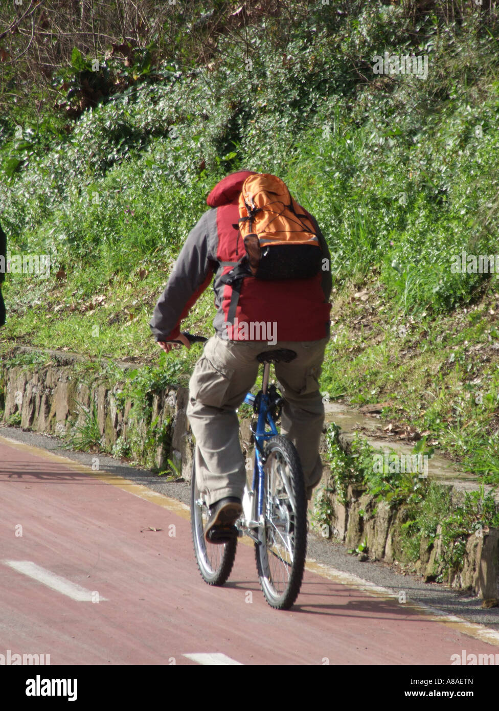 cyclist moving along tree covered cycle path Stock Photo - Alamy