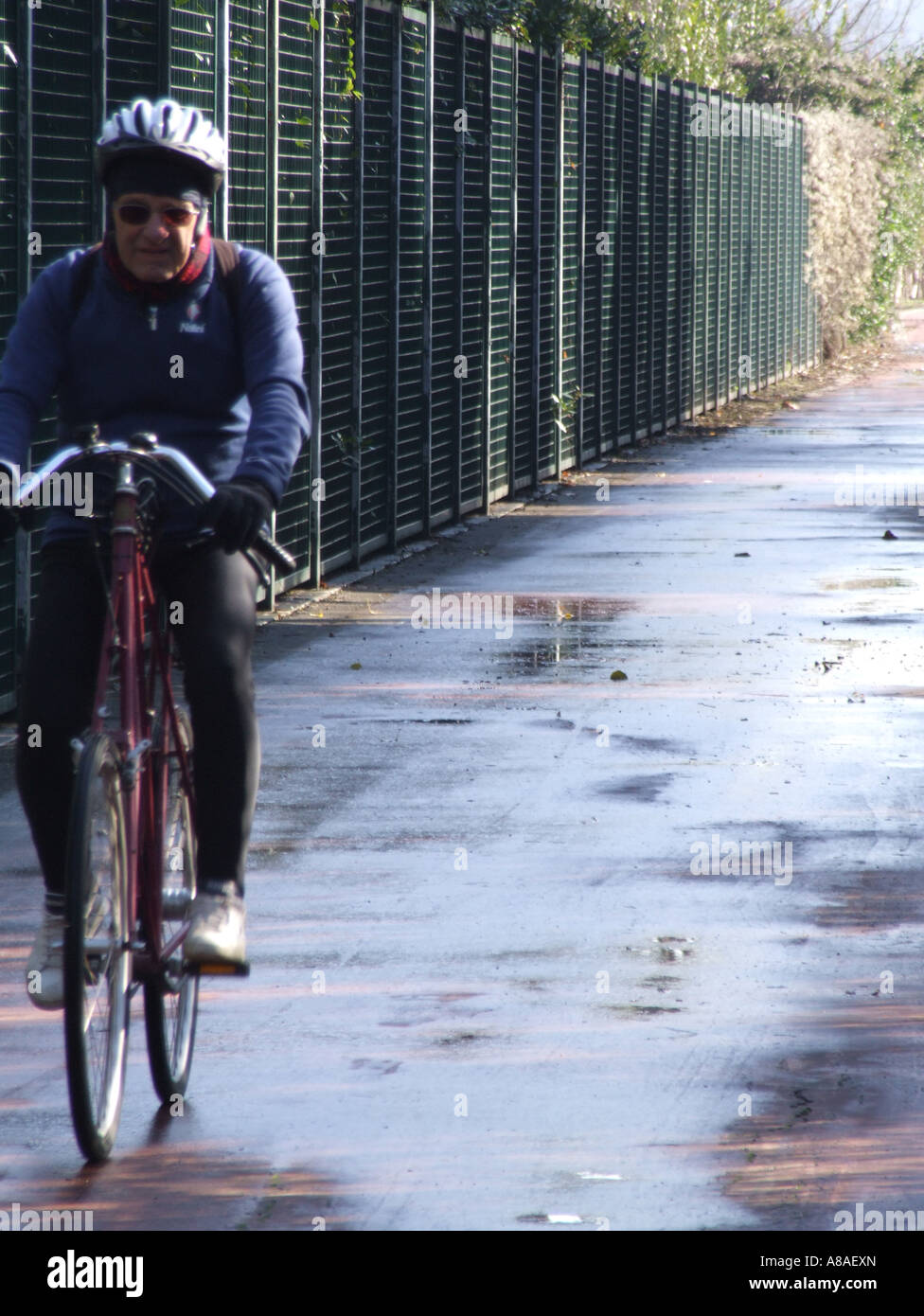cyclist moving along tree covered cycle path Stock Photo - Alamy