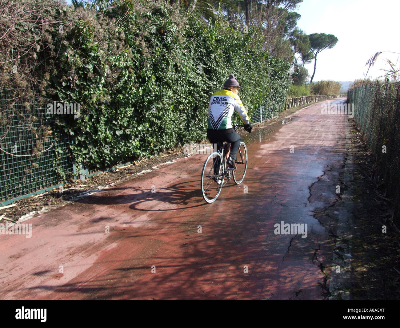 cyclist moving along tree covered cycle path Stock Photo - Alamy