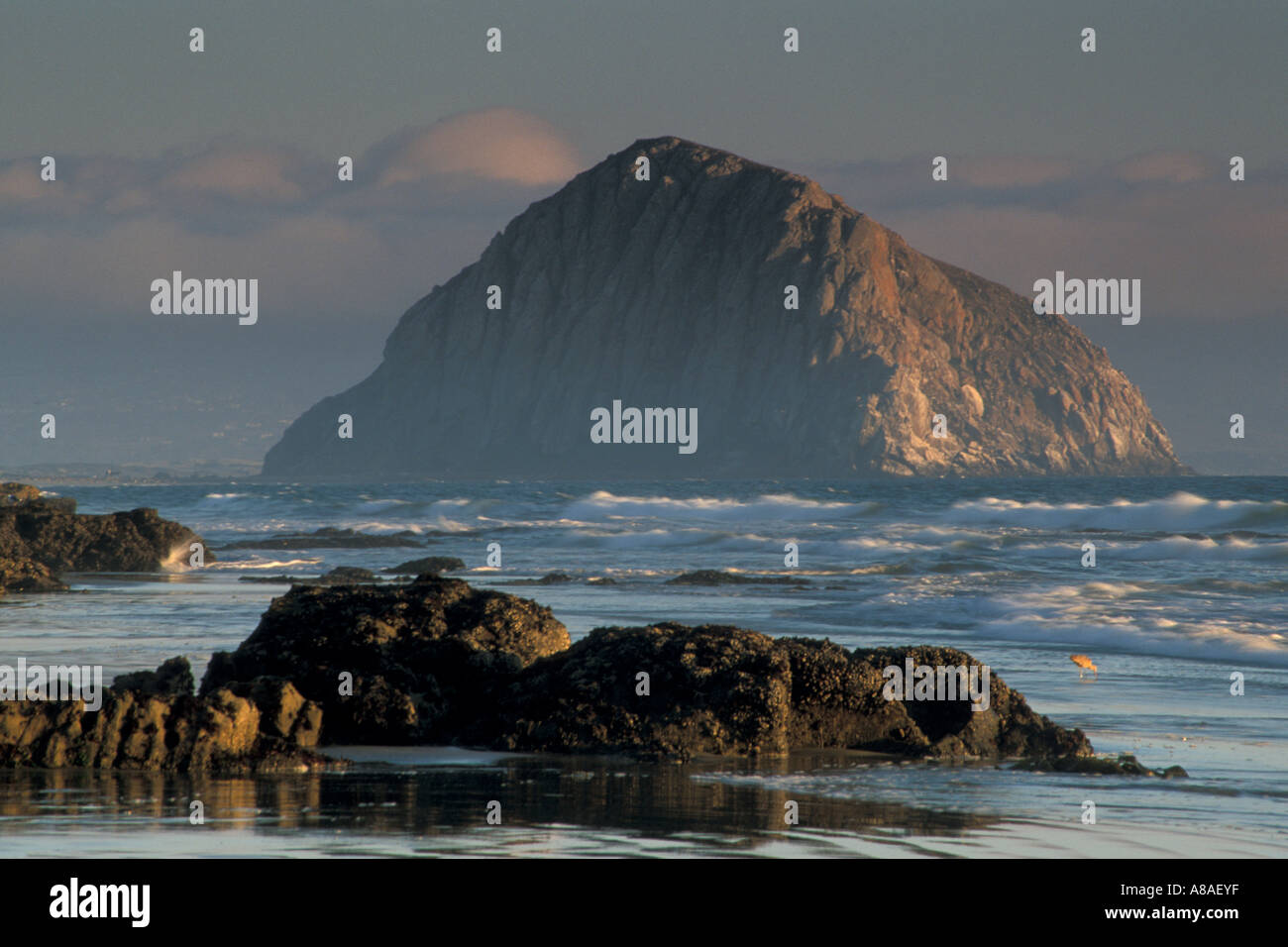 Morro Rock ocean waves and fog at sunset from Morro Strand State Beach ...