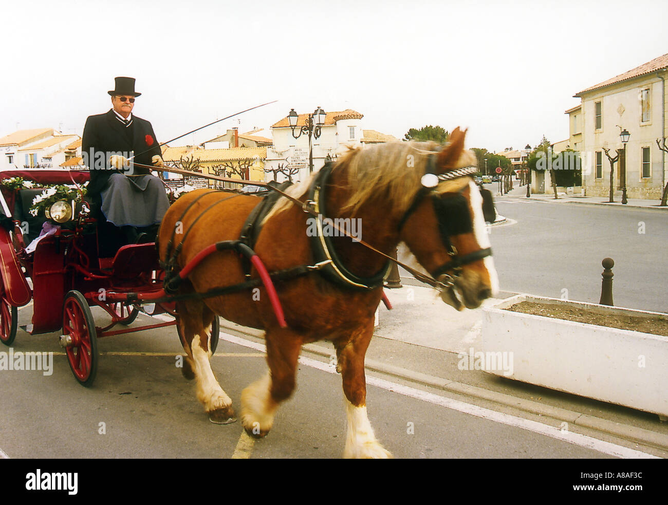 For transport pulling carts hi-res stock photography and images - Alamy