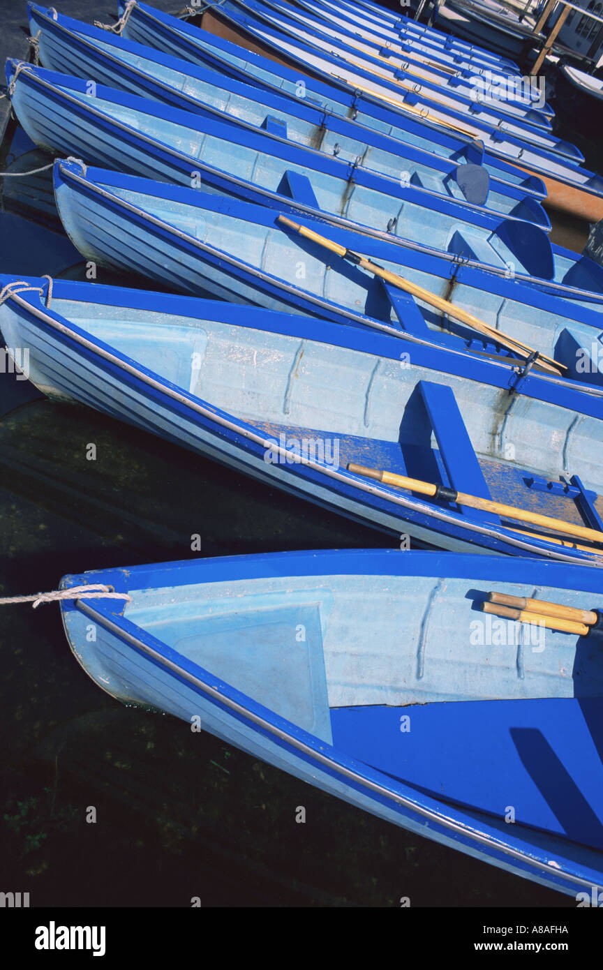 British rowing season hi-res stock photography and images - Alamy