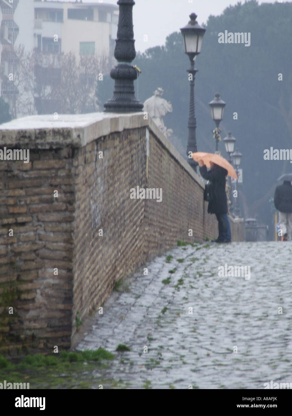 woman with umbrella walking over bridge Stock Photo - Alamy