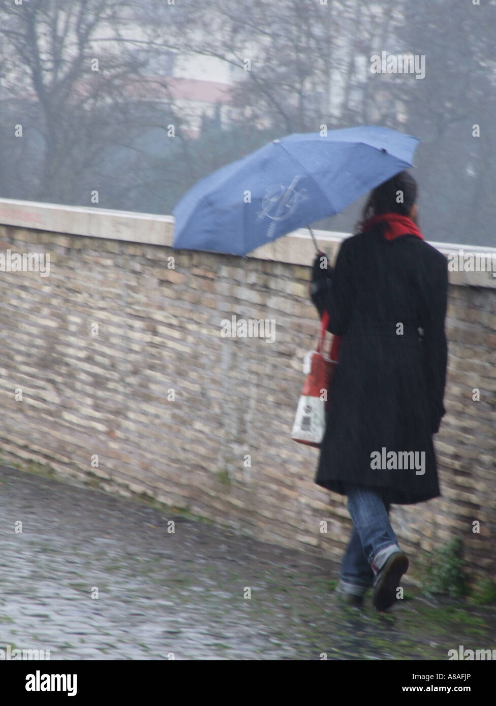 woman with umbrella walking over bridge Stock Photo - Alamy