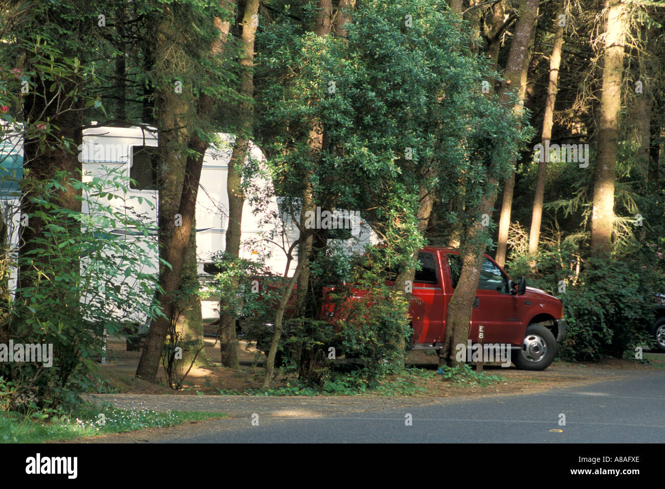 Camper RV s in forest campground Beverl Stock Photo - Alamy