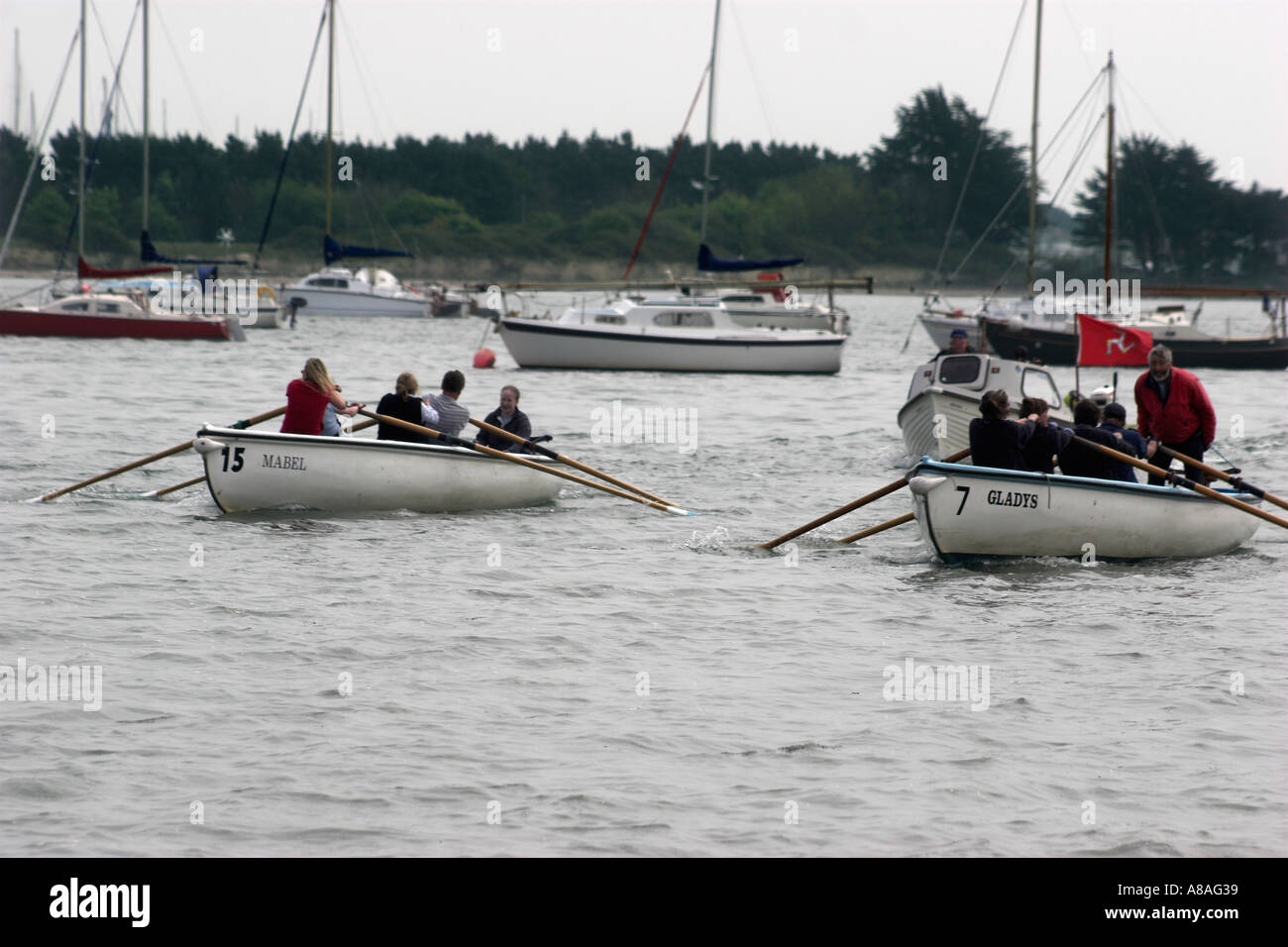 Centenary regatta hi-res stock photography and images - Alamy
