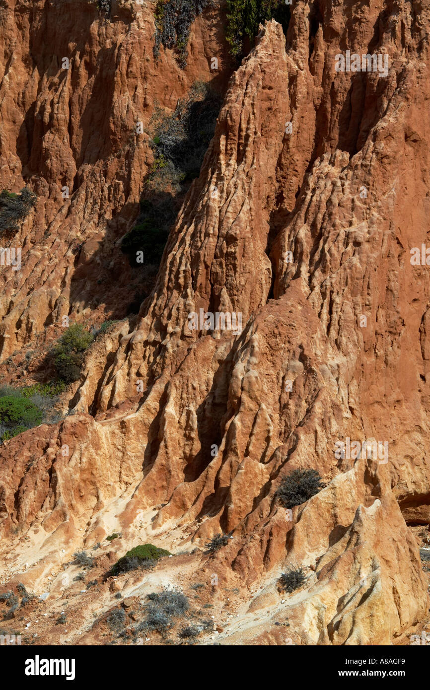 Naturally occurring patterns hi-res stock photography and images - Alamy