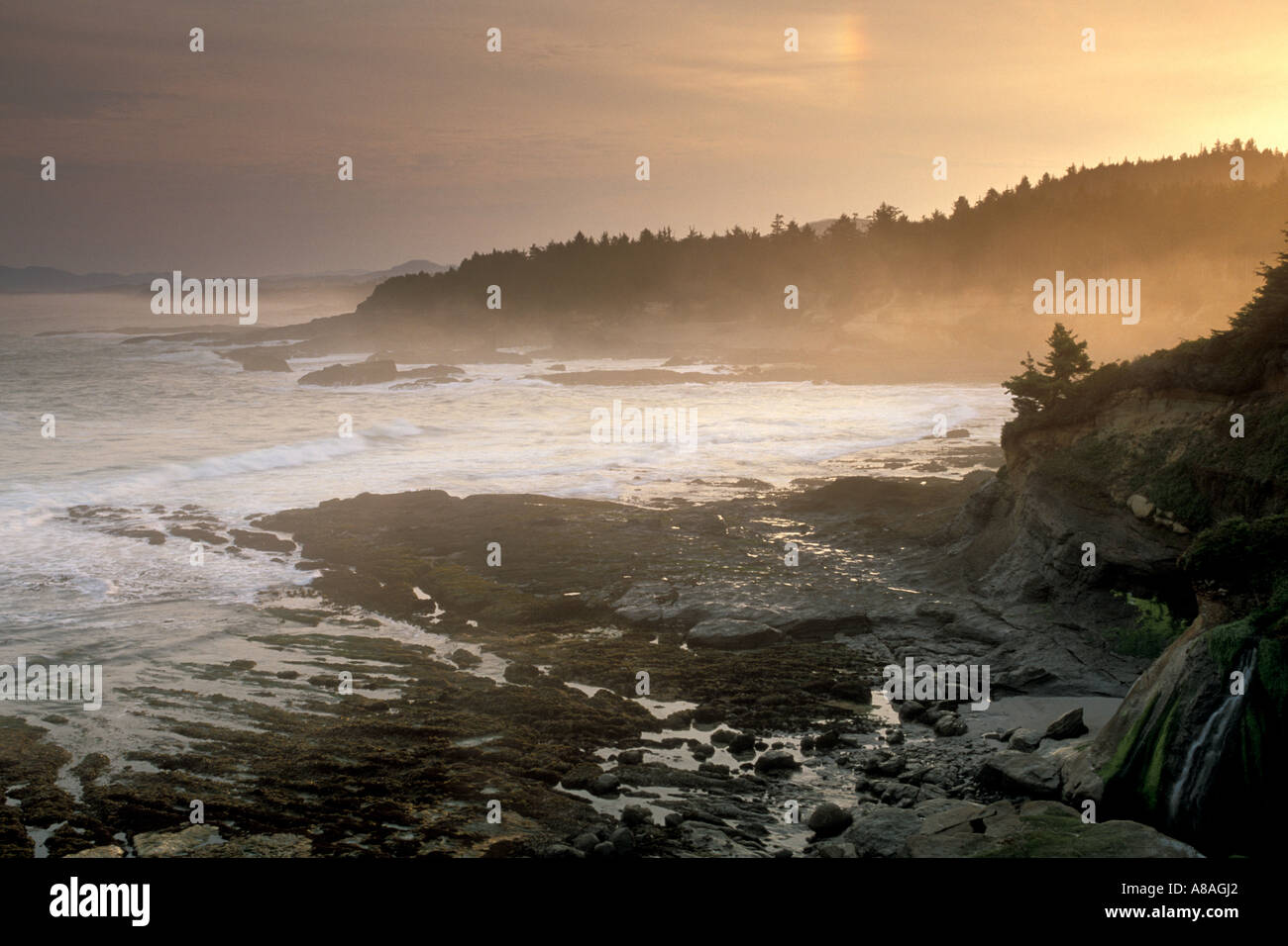 Sundog in clouds at sunrise over the coast at Rocky Creek State Scenic ...