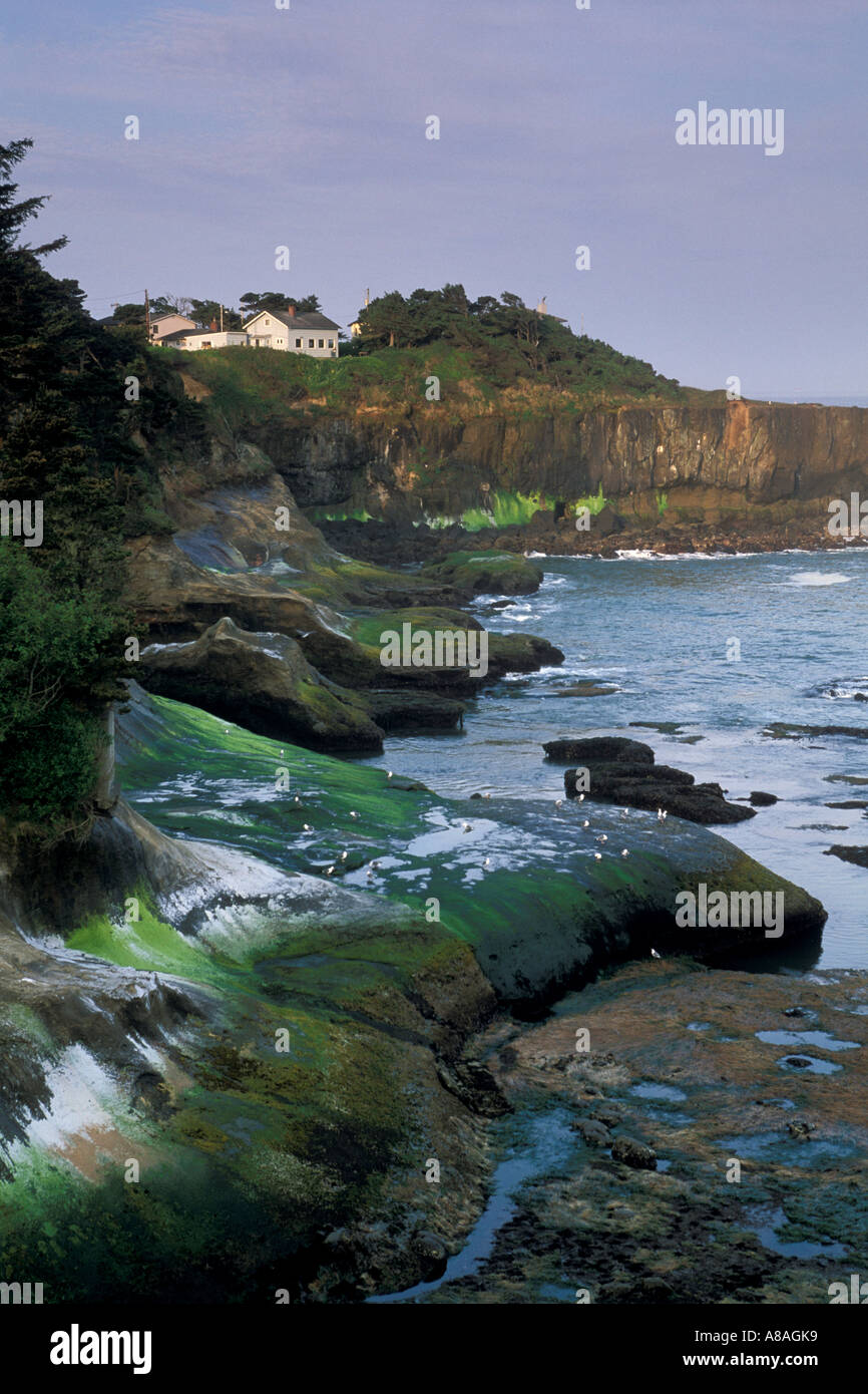 Morning light on houses and homes along rocky coastal bluffs at Depoe ...