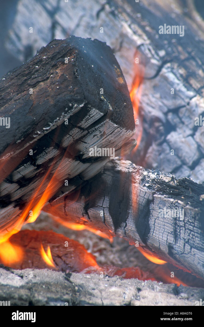 Campfire detail close up of wood burnng orange flame ash log fire Stock ...