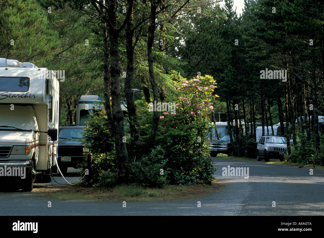 Camper RV s in forest campground Beverly Beach State Park near Newport ...