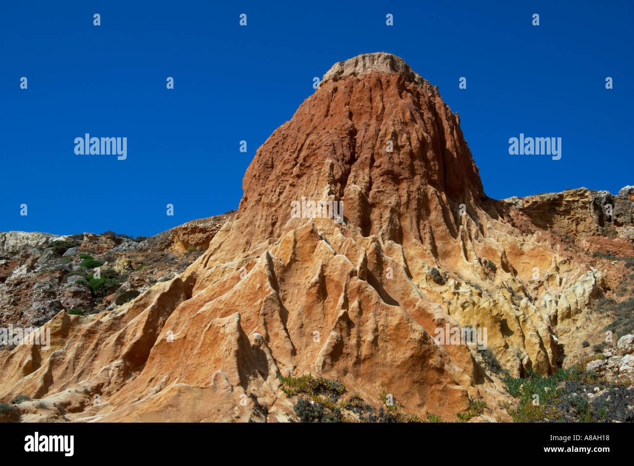 Naturally occurring patterns hi-res stock photography and images - Alamy