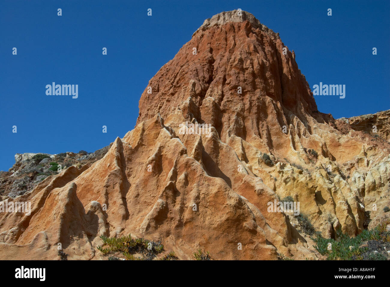 Naturally occurring patterns hi-res stock photography and images - Alamy