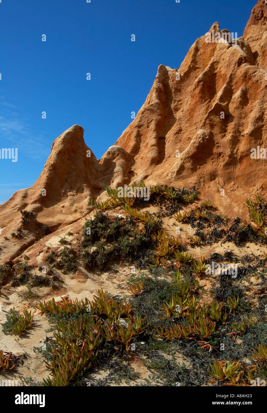 Naturally occurring patterns hi-res stock photography and images - Alamy