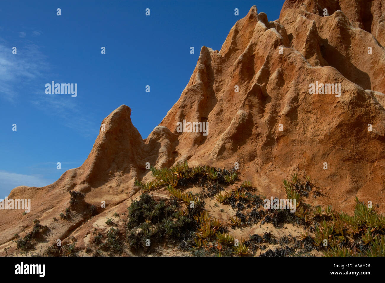 Naturally occurring patterns hi-res stock photography and images - Alamy