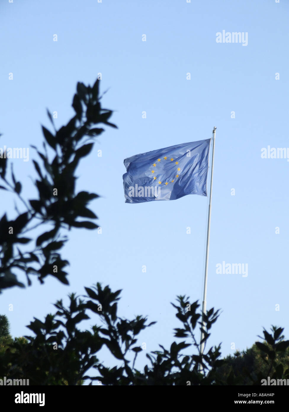 european union flag flying in the wind Stock Photo - Alamy