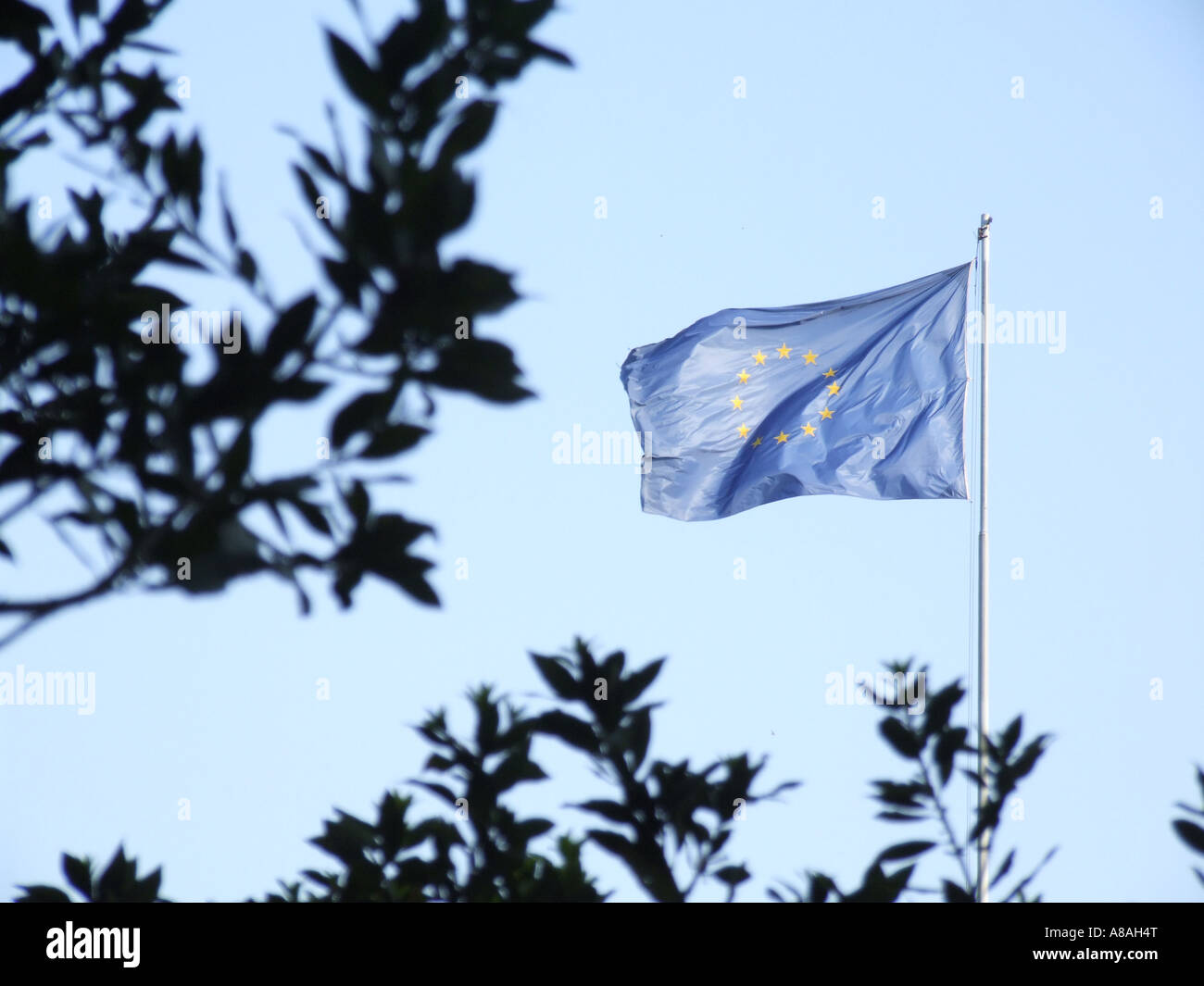european union flag flying in the wind Stock Photo - Alamy