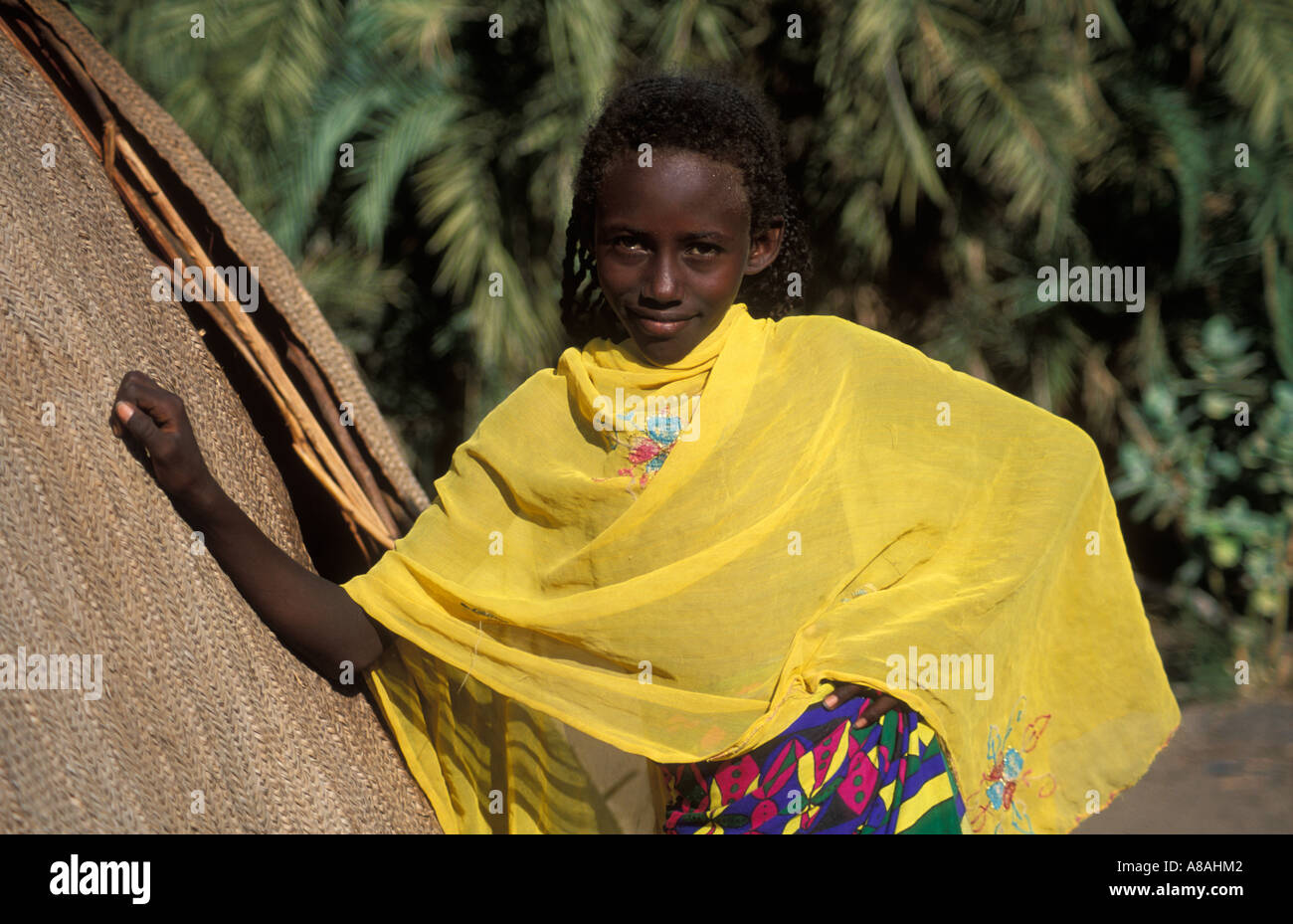 Afar girl at her homestead, Assaita, Danakil desert, Ethiopia Stock ...