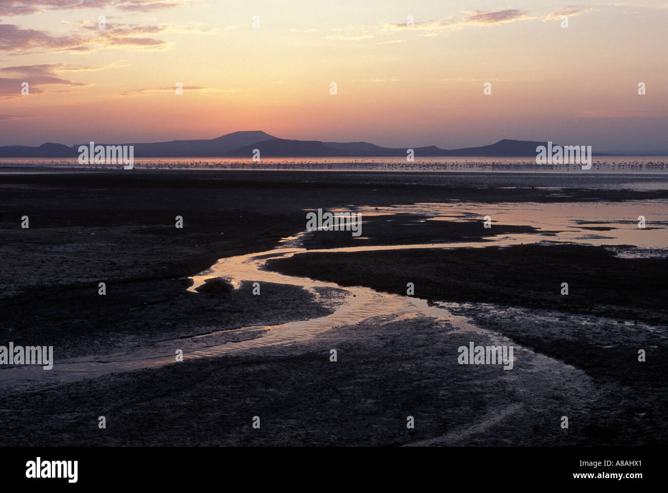 hot springs at Lake Shala, Abiata Shala National Park, Ethiopia Stock ...