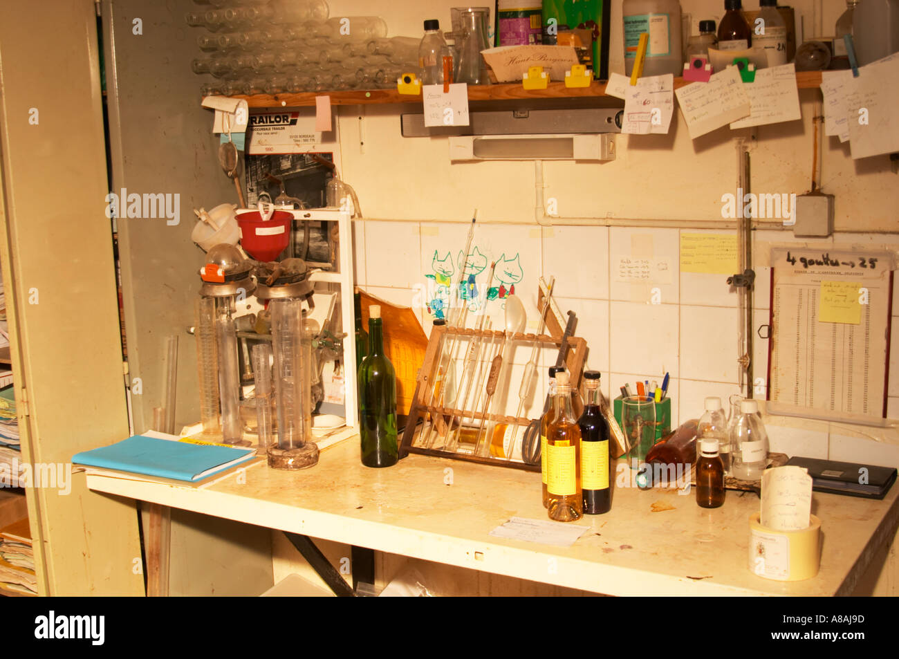 A corner of the wine cellar that serves as the laboratory with various ...