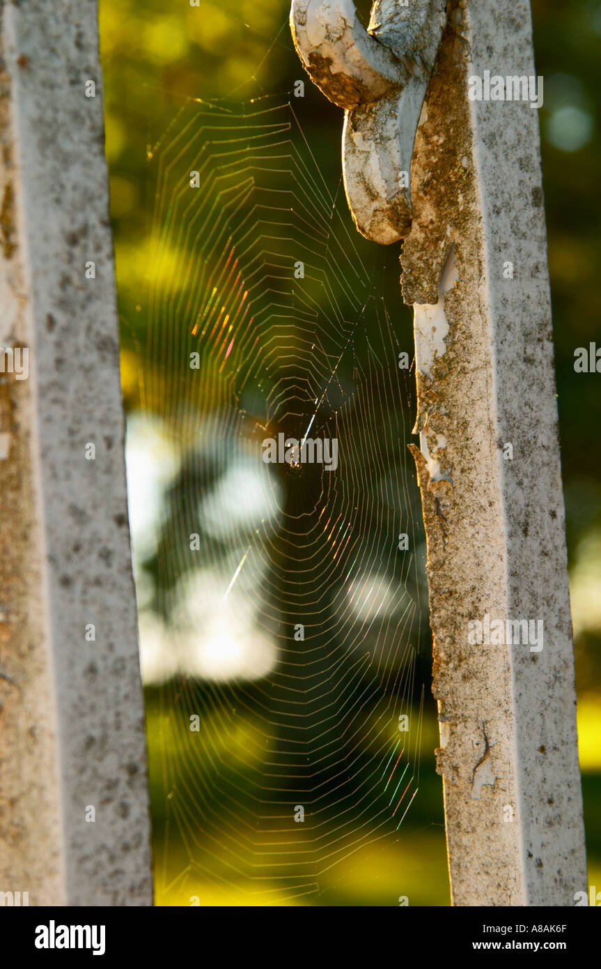 An old iron gate railings with a spider web cobweb - Chateau Carignan ...