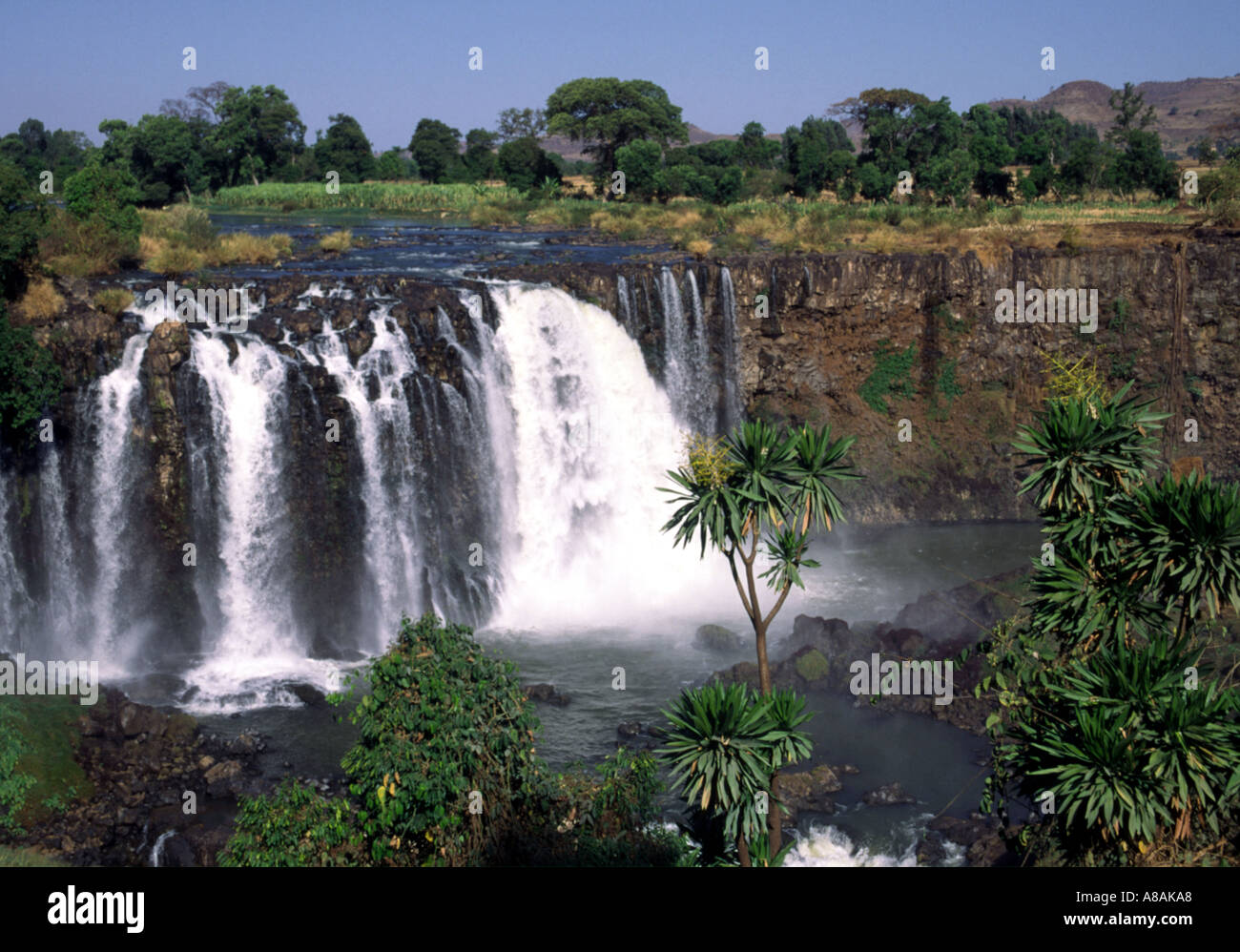 Blue Nile Falls (Tis Abay), Lake Tana, Ethiopia Stock Photo - Alamy