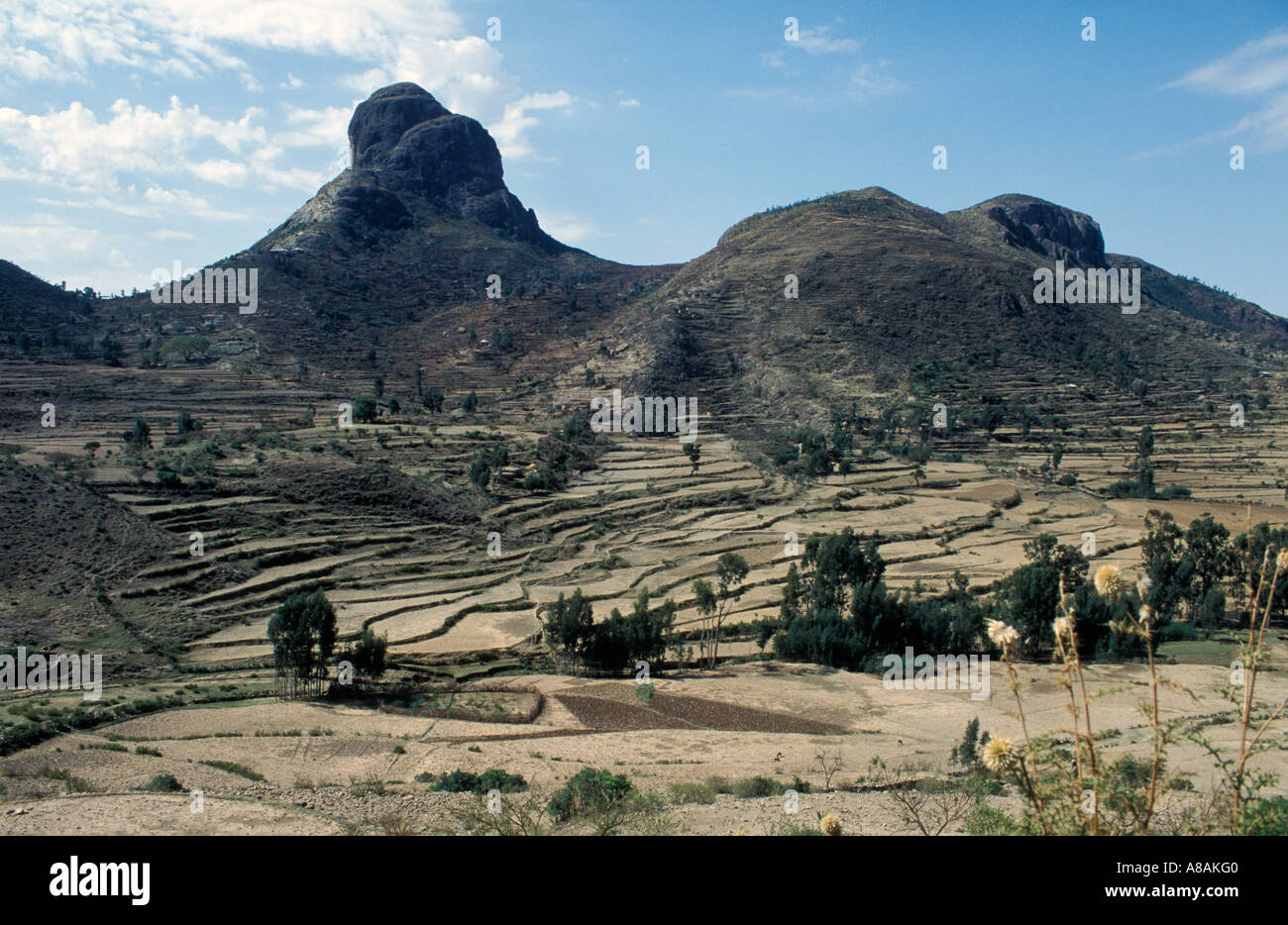 terraced slopes in the mountains between Axum and Adigrat, Eastern ...