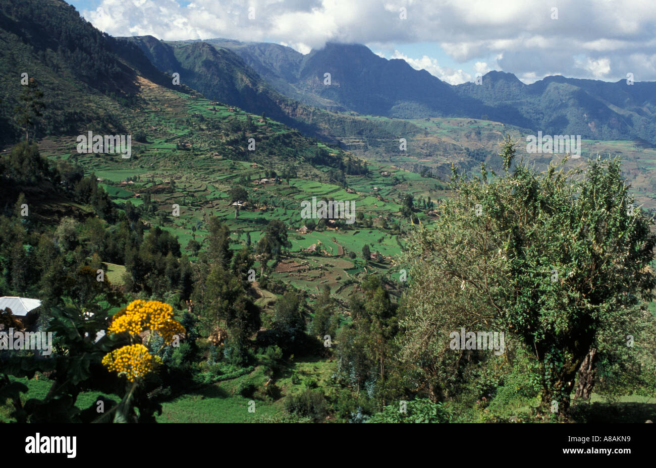 Mountain scenery, Ankober, Ethiopia Stock Photo - Alamy