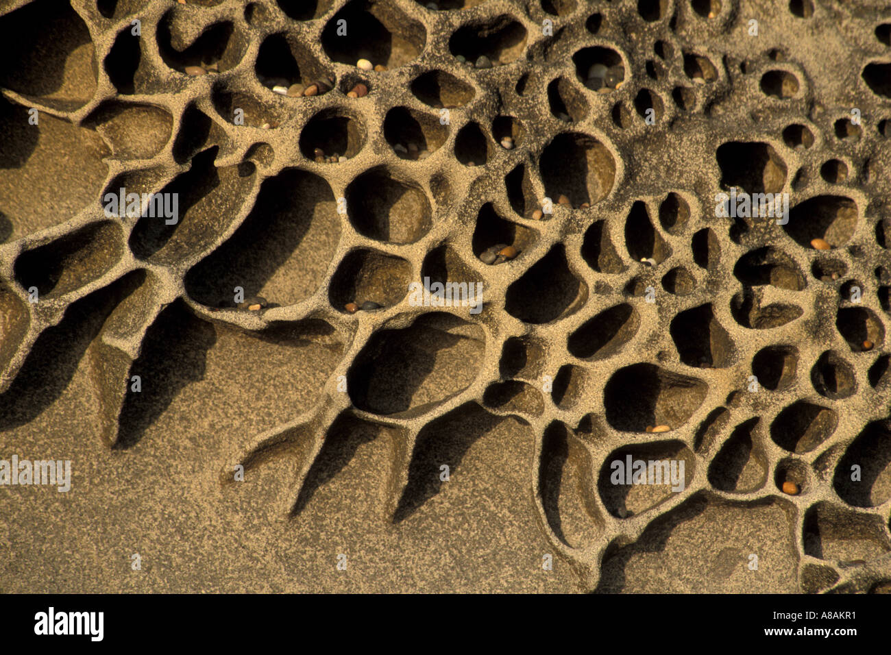 Stone weathered wind erosion environment hi-res stock photography and ...