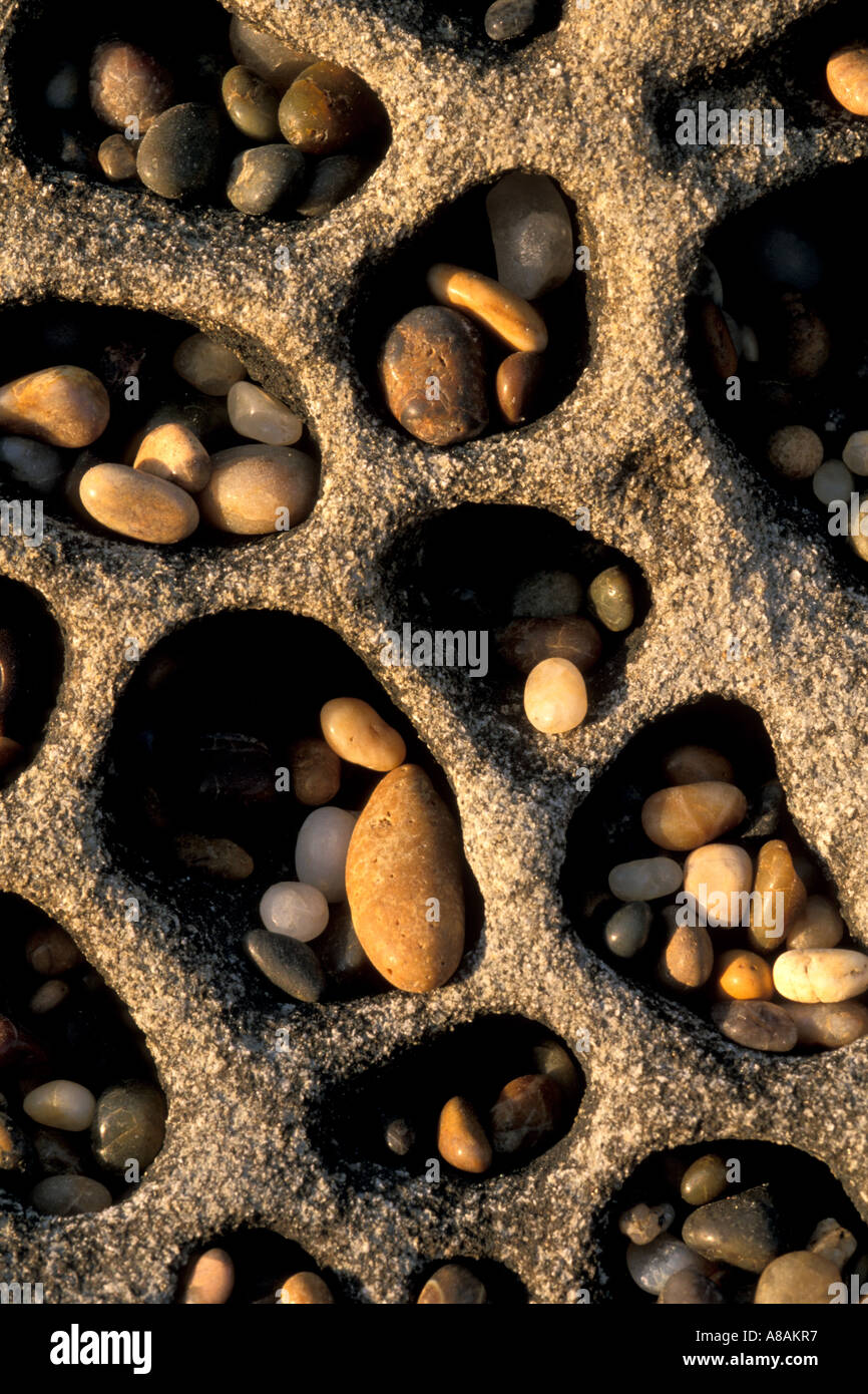 Small smooth stone rock pebbles caught in wind formed tafoni formation ...
