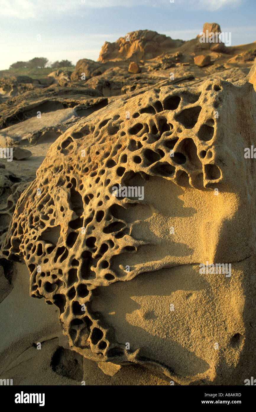 Trapped small pebbles and wind make tafoni formations in stone Bean ...