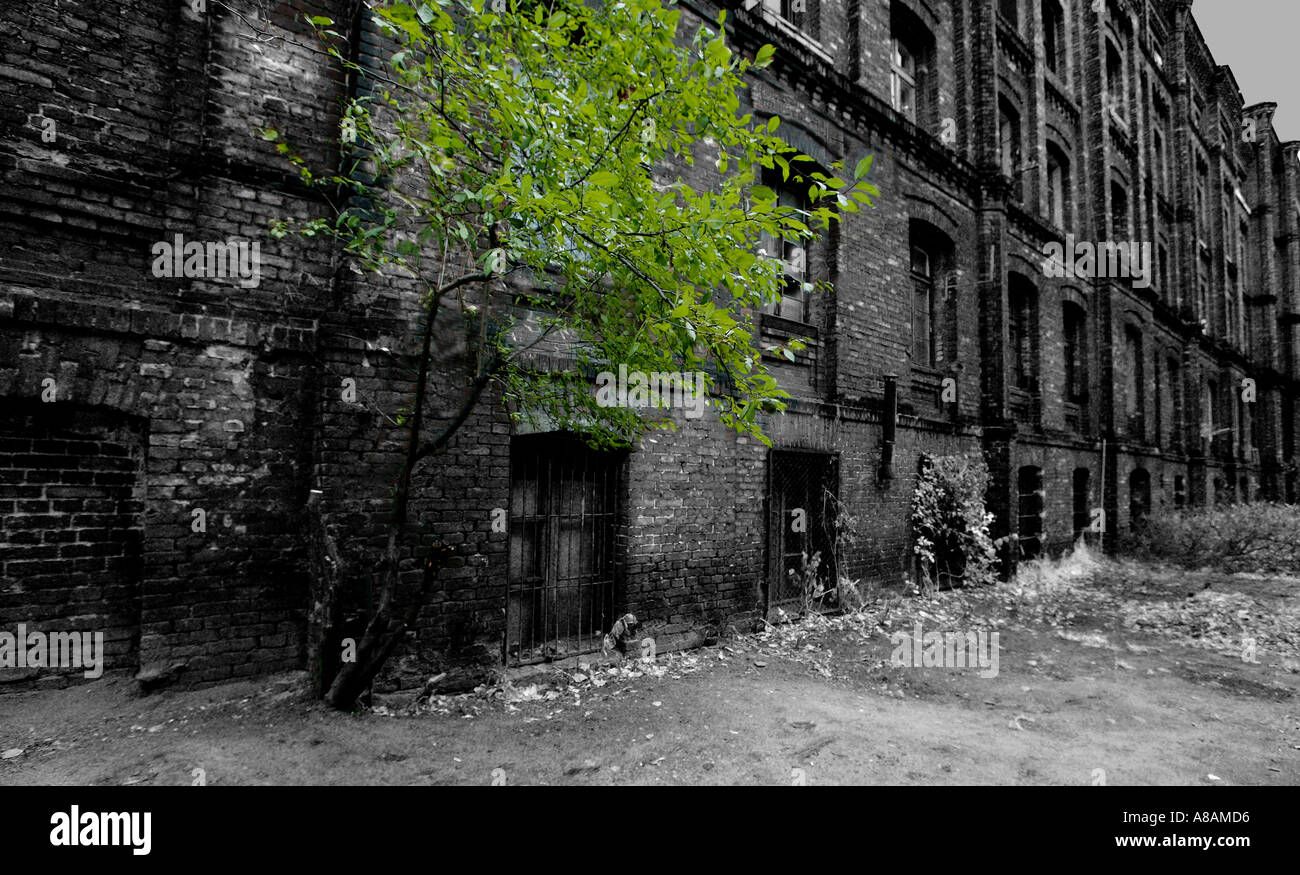 Rundown factory Lodz Poland. Disused factories. Architecture Stock ...