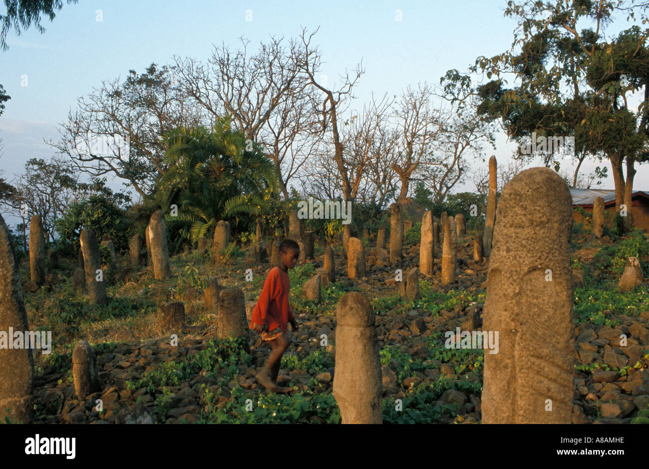 Tutu Fela stelae field field of about 300 stalae marking ancient graves ...