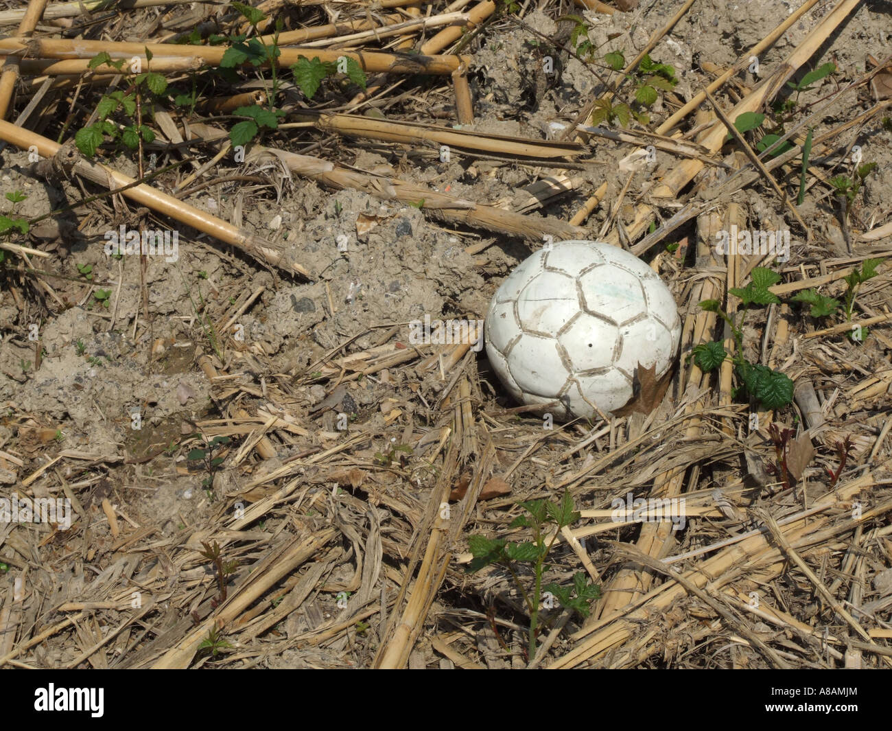 lost ball by river bank Stock Photo - Alamy